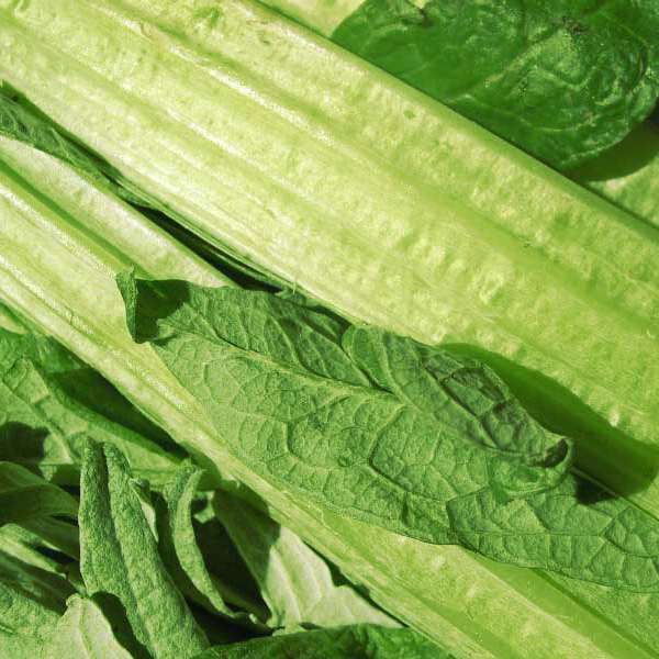 Il cardo è una verdura buonissima che potete fare anche alla parmigiana